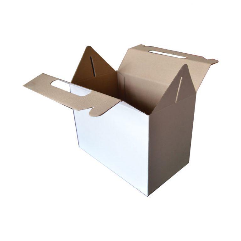 White Carrier Box w. Handle (255 x 150 x 185mm) – TFB.ie